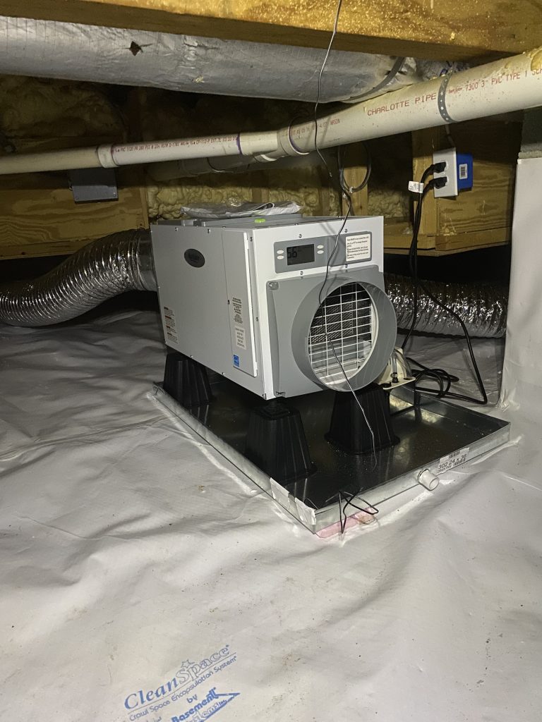 Home - Mold and Mildew Solutions - Alabama Mold Inspection and Remediation